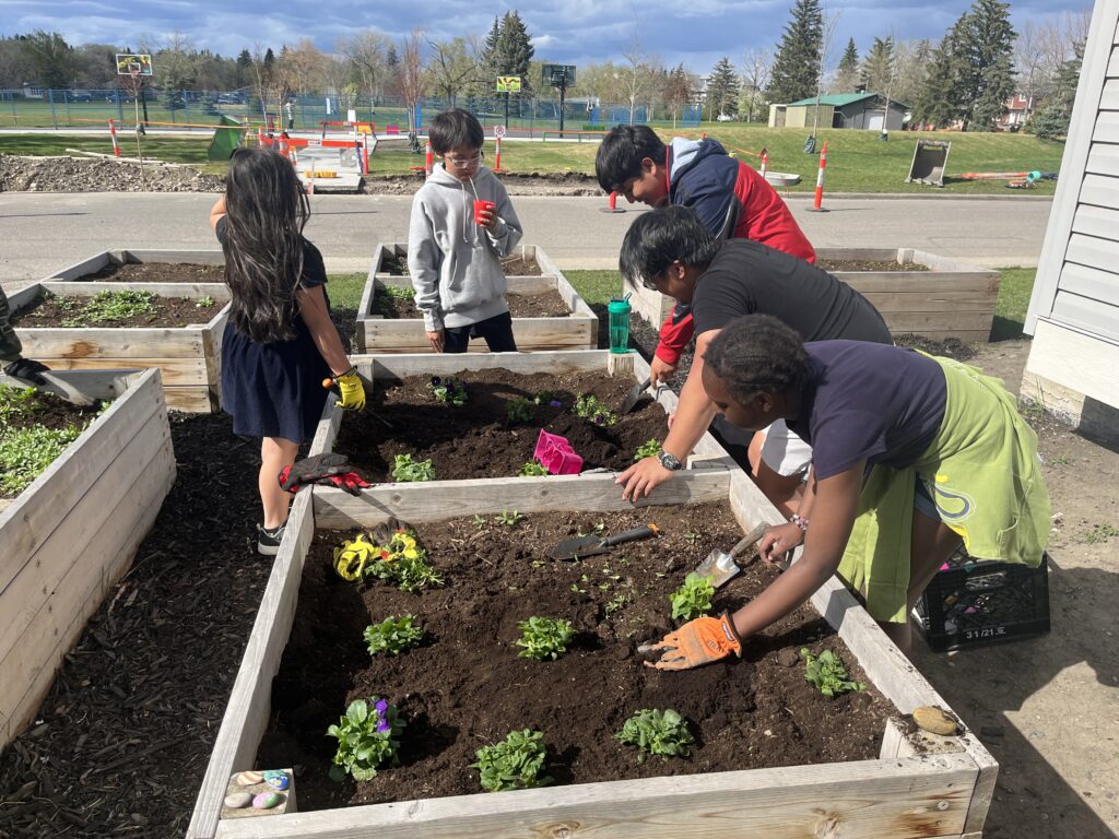 Home Page | Youth Centres of Calgary